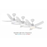 Luna Ceiling Fan - CCT with Remote Control - Abbeygate Lighting
